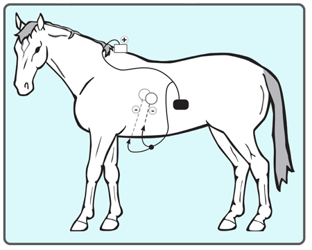 bleeders-quickguide-lungsetup – Matrix Therapy Products