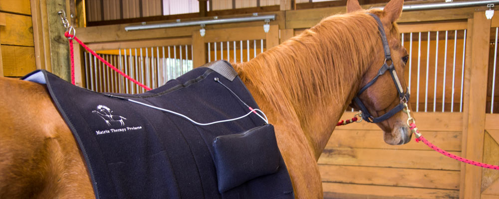 Microcurrent Therapy • Matrix Therapy Products