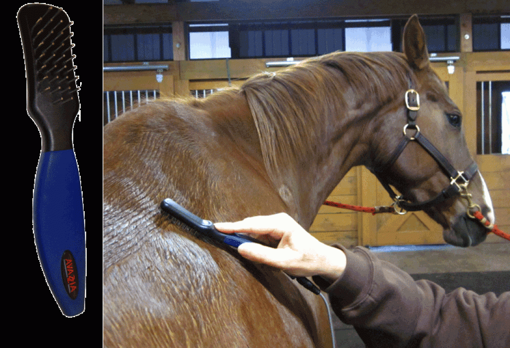 Avazzia E-Comb Electrode (E-Comb) – Matrix Therapy Products