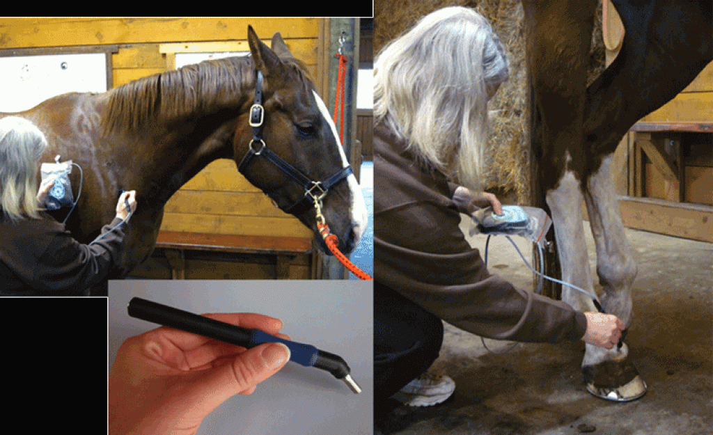 Avazzia E-Pen Acupoint Probe (E-Pen) – Matrix Therapy Products